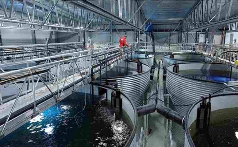 Diplomado en Recirculación para la Acuicultura